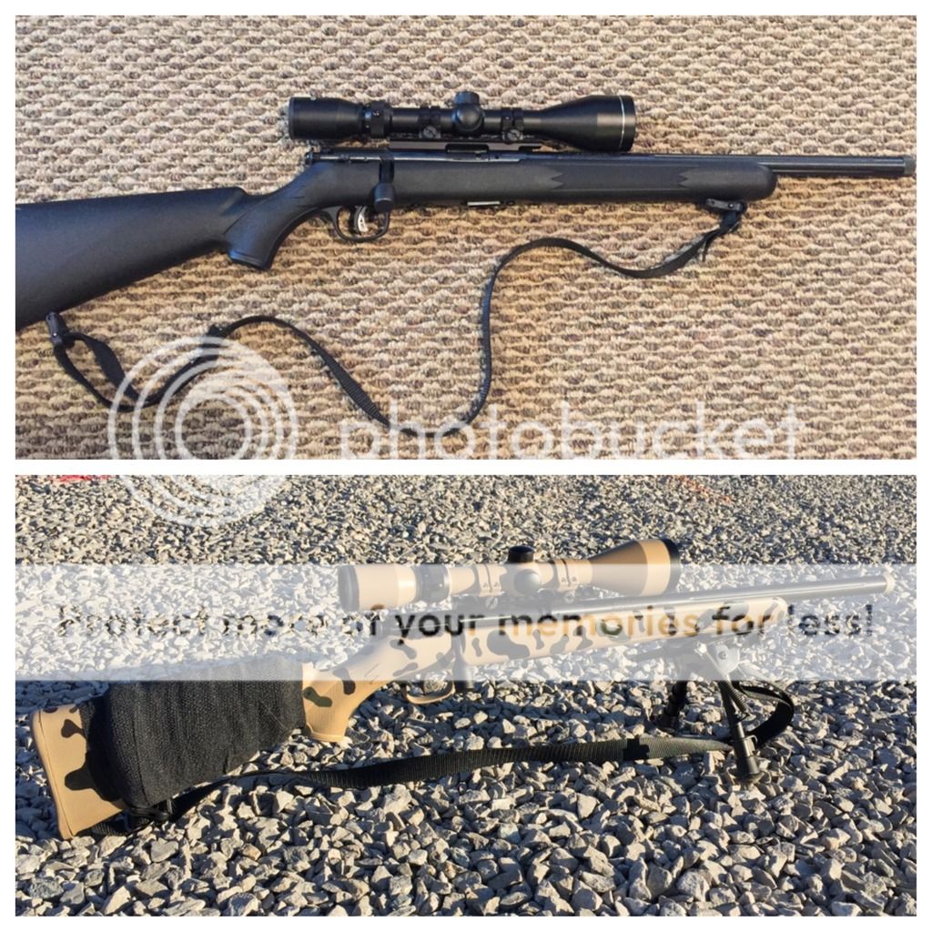 Before and after paint job > 10/22 & 22 Caliber Rifles > AR15.COM