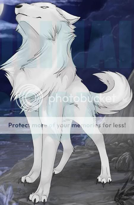 View topic - The Mystery of Fate (Wolf Rp) (literate rp) - Chicken Smoothie